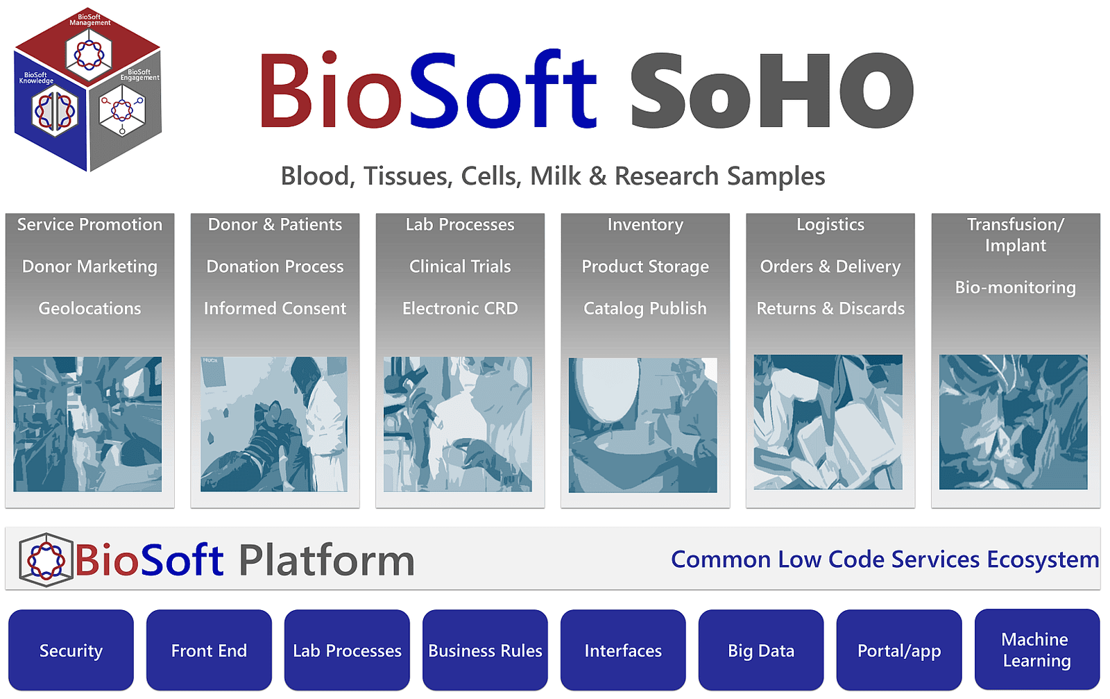 Biosoft Solutions